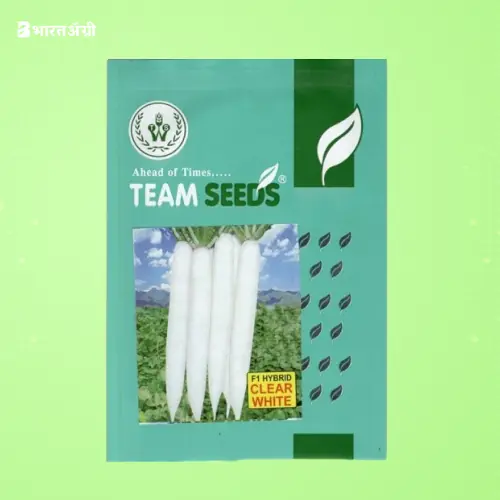 Team Seeds F1 Hybrid Clear White Radish Seeds | Buy Now – BharatAgri Krushi Dukan