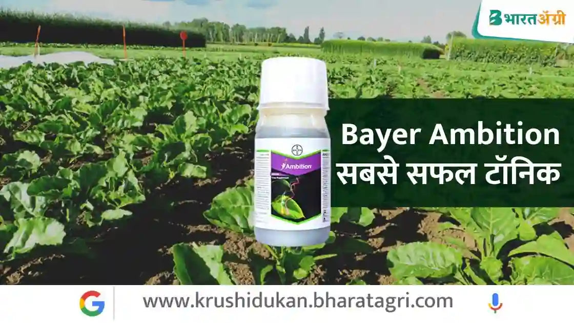 Uses & benefits of Bayer Ambition | बायर एम्बिशन के उपयोग & फ़ायदे ...