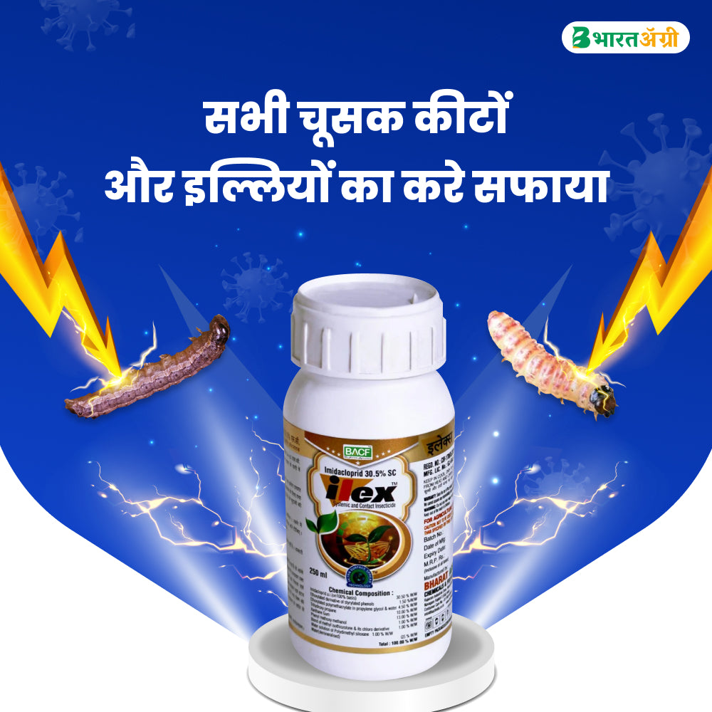 BACF Ilex (Imidacloprid 30.5% SC) Insecticde | Buy Now – BharatAgri ...