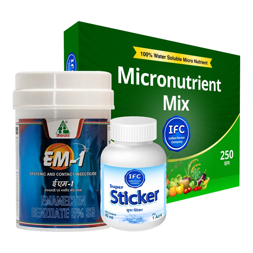 Brinjal Suraksha Kit - Fruit Borer (40-120 days) – BharatAgri Krushi Dukan