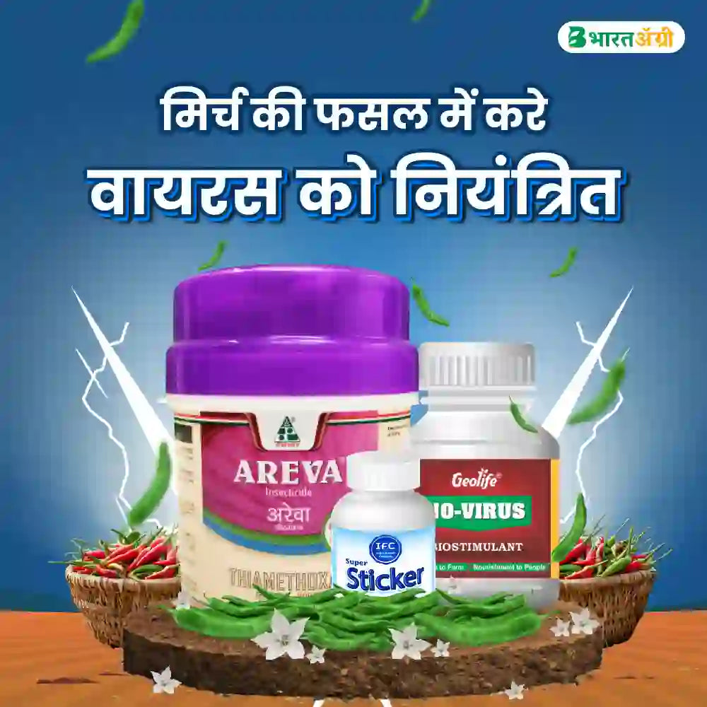 Chilli Virus Protection Kit | Buy Now and Get Discounts ! – BharatAgri ...