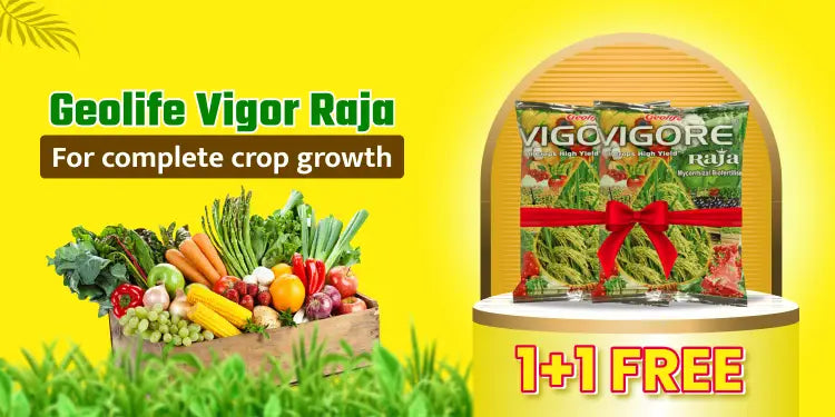 Buy online fertilizers, seeds, pesticides and equipment for your farm ...