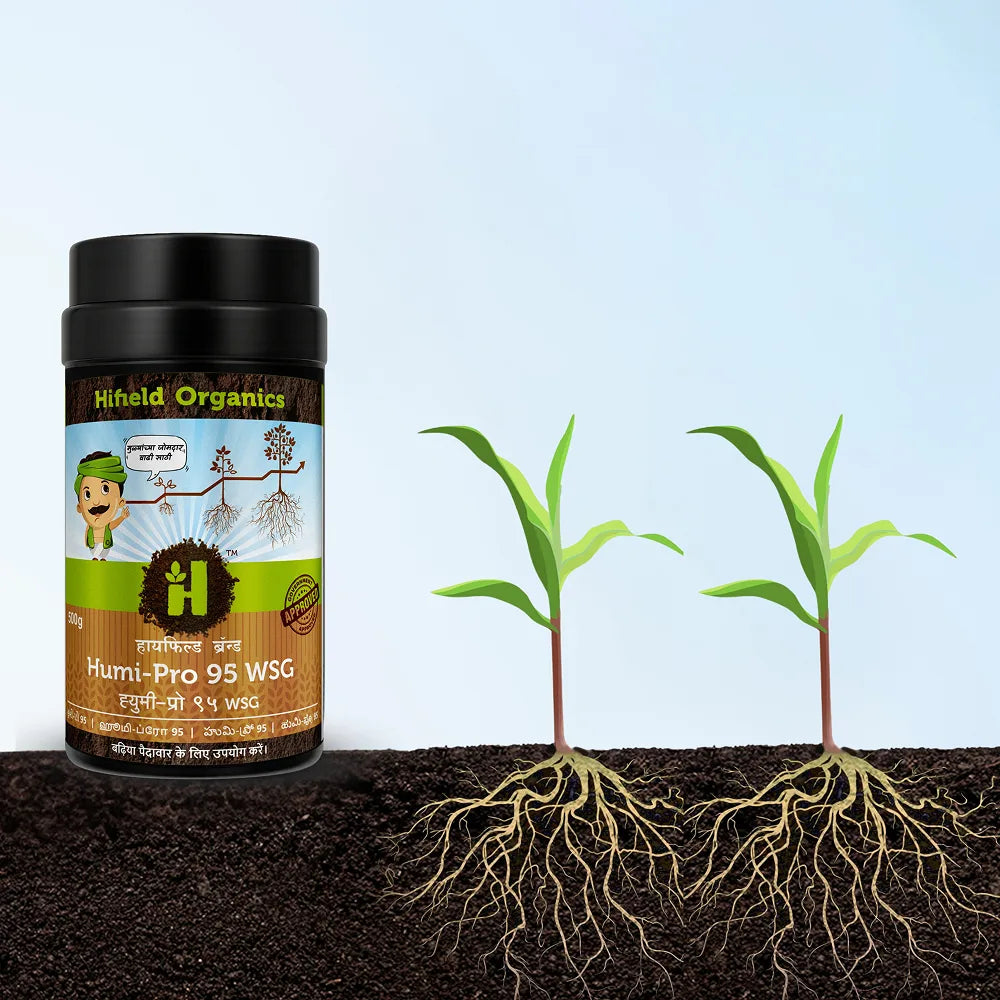Hifield Humi Pro 95 WSG (Humic Acid 51%) Biostimulant – BharatAgri ...