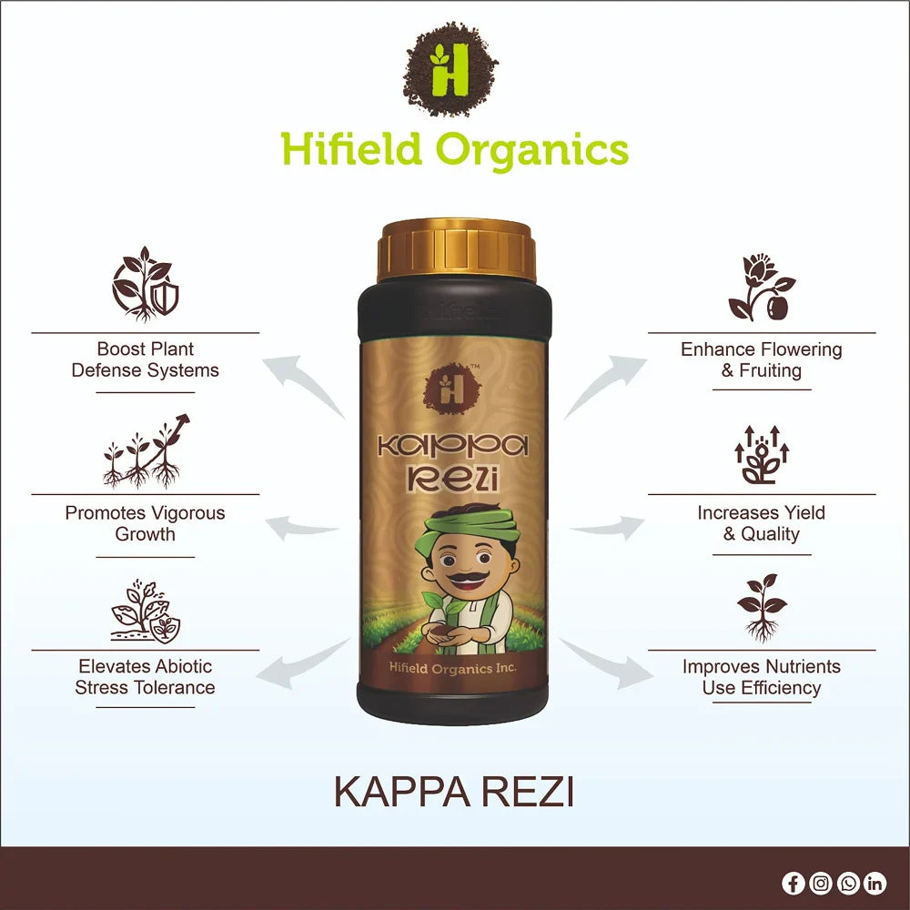 Hifield Kappa Rezi Seaweed Biostimulant – BharatAgri Krushi Dukan