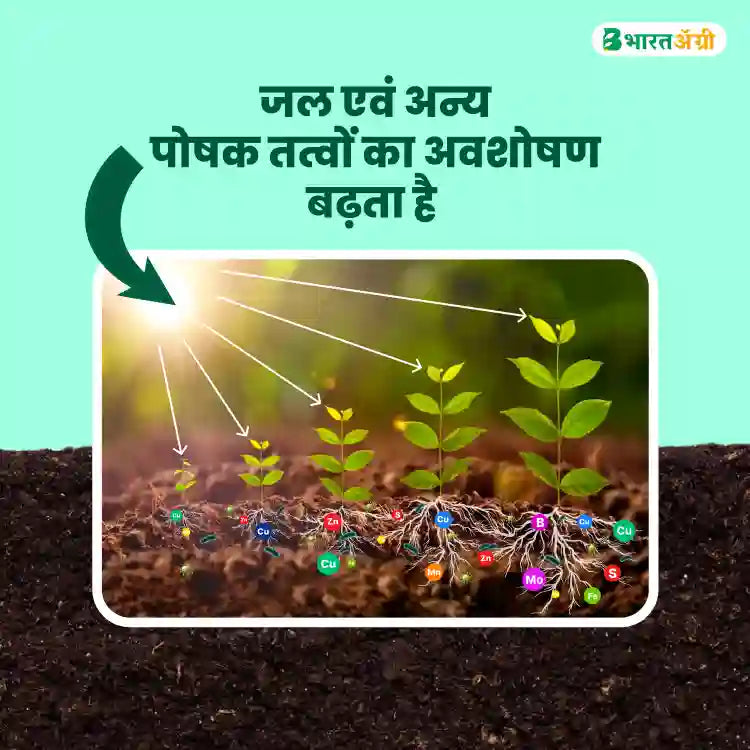 इनेरा फायरो MP माइकोराइजल जैव उर्वरक पर पाएं 25% तक छूट – BharatAgri ...