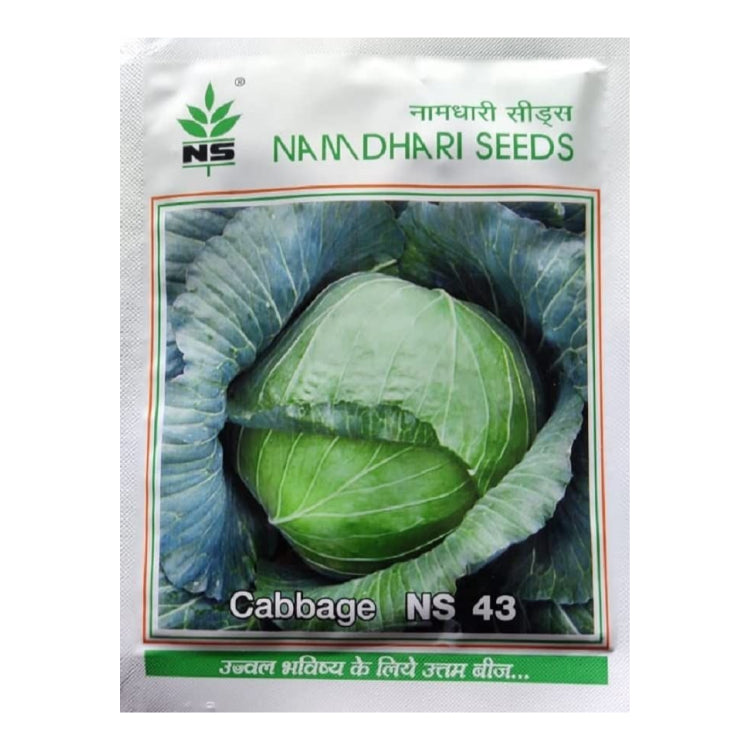 Namdhari NS 43 Cabbage Seeds | Buy Now – BharatAgri Krushi Dukan