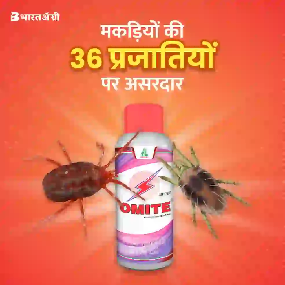 Omite Insecticide (Propargite 57 EC) Dhanuka | Offer Price Free COD ...
