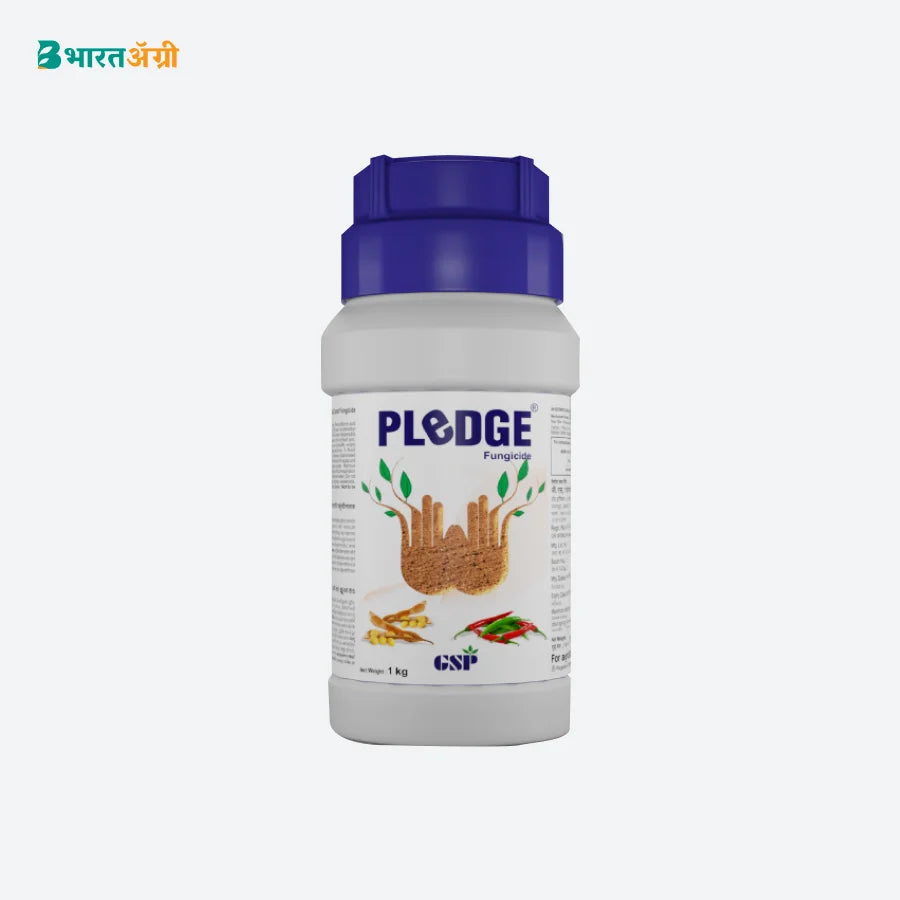 जीएसपी प्लेज कवकनाशी फल सड़न, फली झुलसा से छुटकारा | 29% तक छूट & COD ...