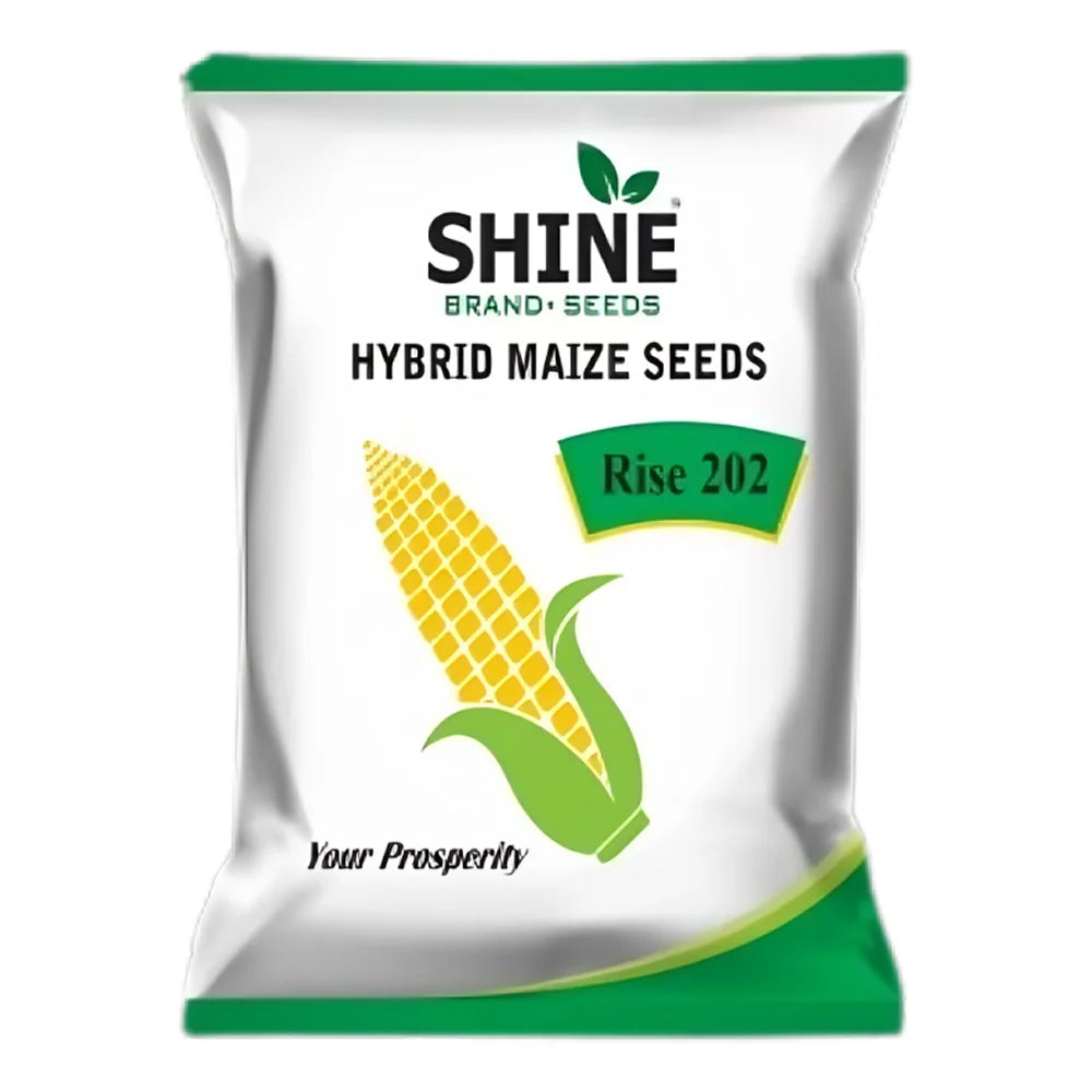 Shine Rise 202 Maize Seeds – BharatAgri Krushi Dukan