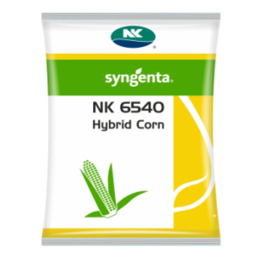 Syngenta NK-6540 Plus Maize Seed – BharatAgri Krushi Dukan